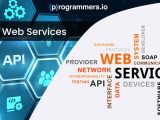Difference Between Api And Web Services Programmmers Io