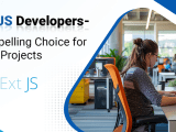 Why Hire Ext Js Developers And How It S A Compelling Choice For Your