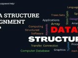 Data Structure Assignment Help Online By Experts