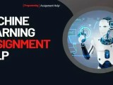 Machine Learning Assignment Help By Top Quality Experts 50 Off