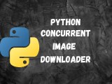 Python Concurrent Image Downloader Programming Geeks Club