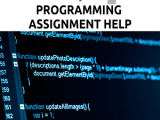 How Online Programming Assignment Help Can Lessen Your Workload