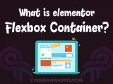 What Is Elementor Flexbox Container Programmingpredators