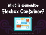 What Is Elementor Flexbox Container Programmingpredators