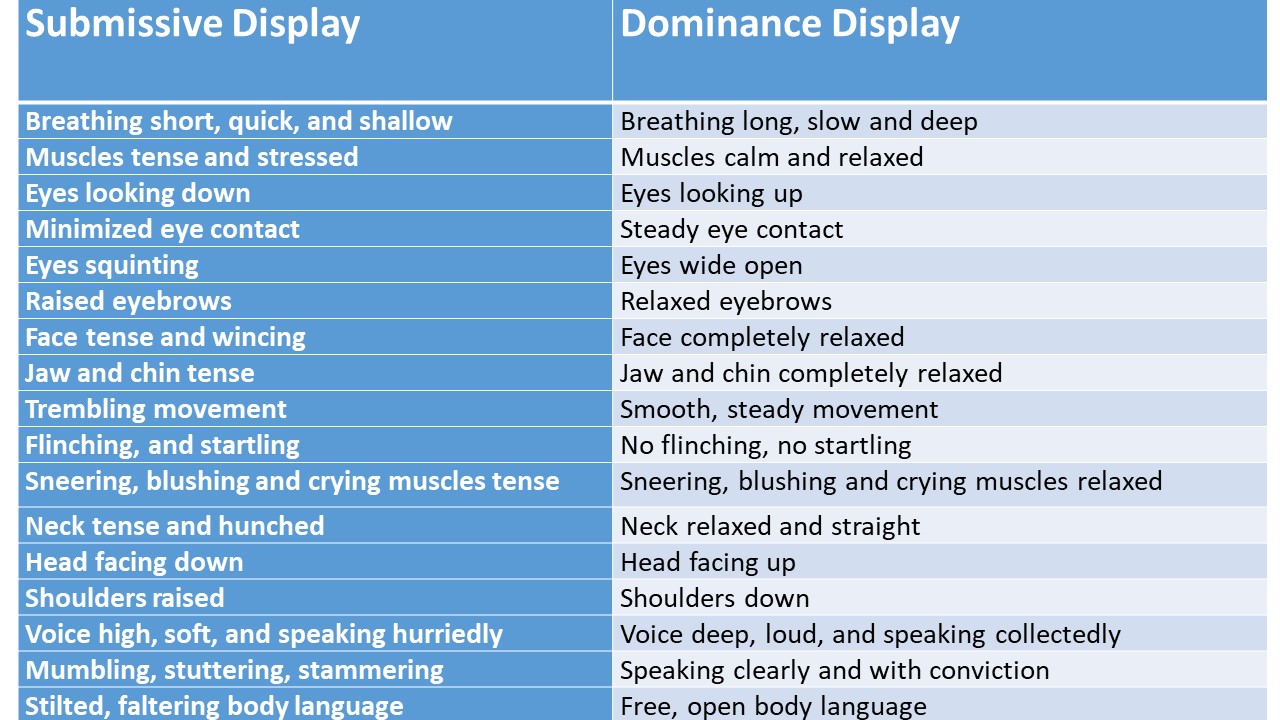 Stress Reduction Techniques & Exercises | Program Peace