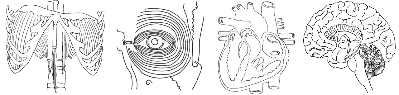Stress Reduction Techniques & Exercises | Program Peace