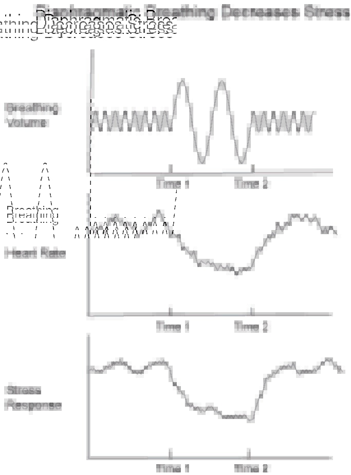 Stress Reduction Techniques & Exercises | Program Peace