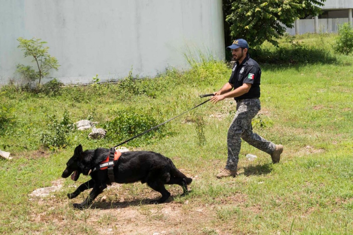 Movilización policíaca por amenaza de tiroteo en el Cedart "Ermilo ...