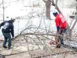 Winter Dormant Tree Pruning