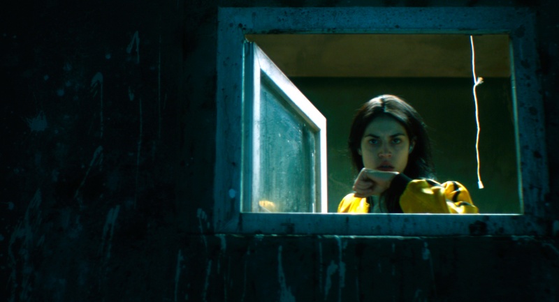 Cold Hell (2017) - Projected Figures