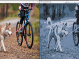 Python Opencv Project Image Segmentation Project Gurukul