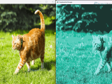 Python Opencv Project Image Segmentation Project Gurukul
