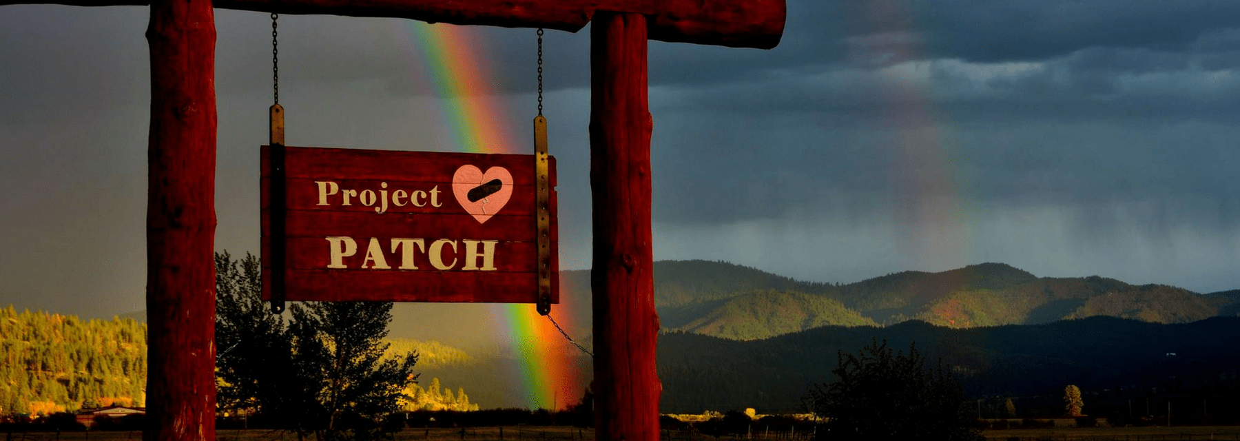 Financial Information | Project Patch