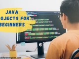 Mini Project Using Java