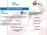 2025 Aha Bls Provider Ecard Professional Medical Educators Inc