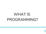 Introduction To Programming Promineo Tech