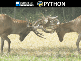 Precedence Of Operators In Python Prospero Coder