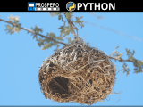 Nested List And Dictionary Basics Prospero Coder