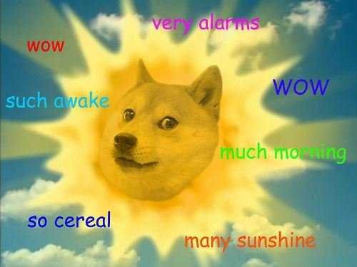 Zombies. Doge style. – Pros Write