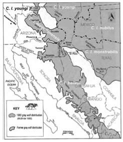 Game and Fish study clarifies Mexican wolf historical range | Wolves in ...