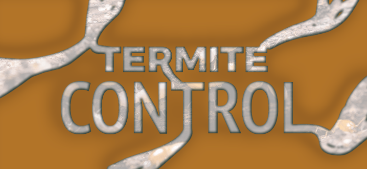 Professional Termite & Pest Control