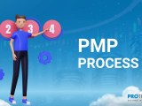 Step By Step Guide To The Pmp Process In Project Management