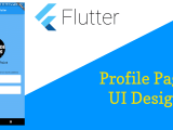 Profile Ui Design In Flutter Kulturaupice