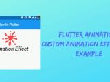 Flutter Animation Custom Animation Effect With Example