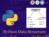 Python Data Structure Build In User Defined