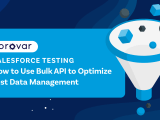 Optimize Test Data With Salesforce Bulk Api Provar