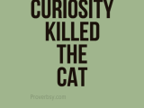 Curiosity Killed The Cat Proverbsy