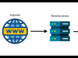 Reverse Proxy Vs Forward Proxy What S The Difference Proxyscrape