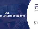 Sql Server Temp Database Space Issue Psi邃