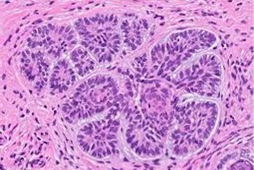 Laboratory Information System | Psychē Systems| Software