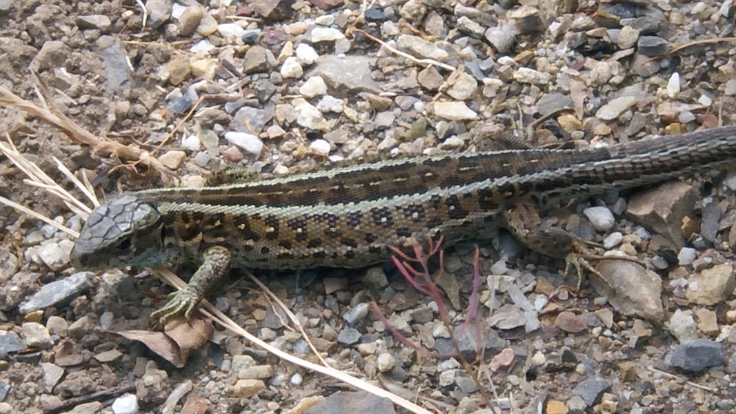 Communauté du Puits de Jacob - Mai