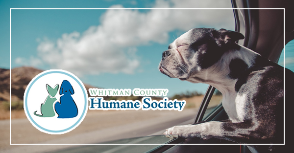 Whitman County Humane Society announces Giving Tuesday goal – Pullman Radio