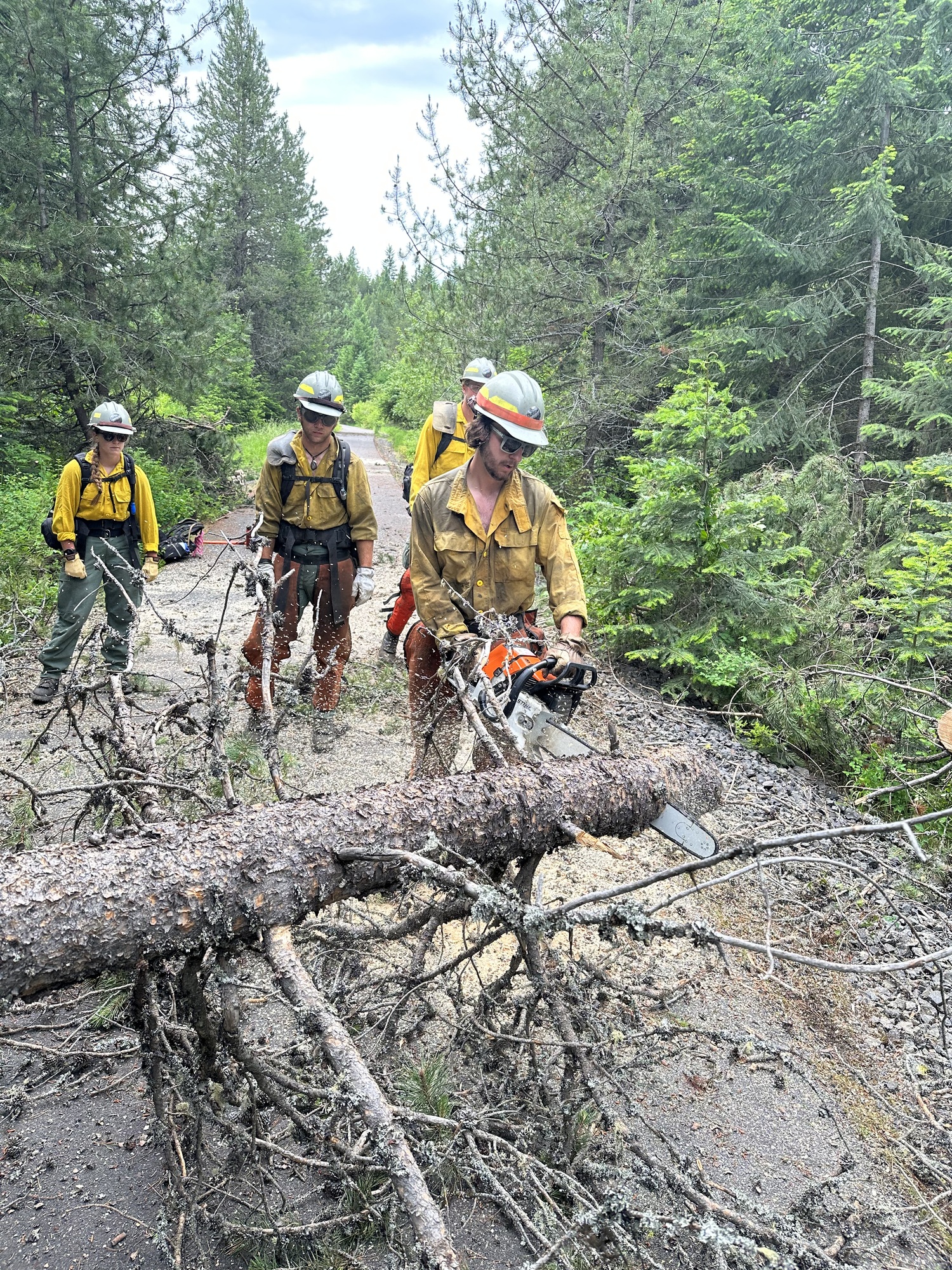 Local Wildland Firefighting Crew Cleans Up Latah Trail Near Troy ...