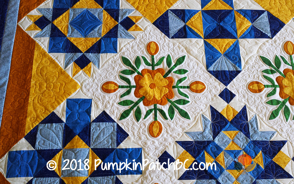 Yellow Roses - Pumpkin Patch