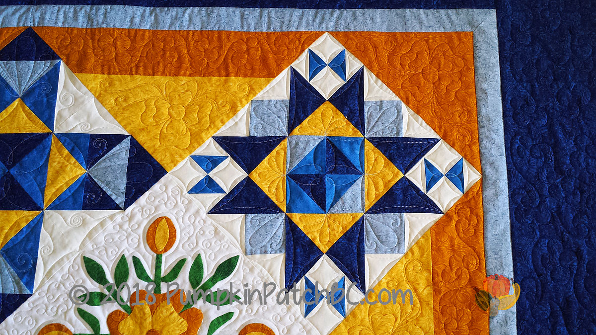 Yellow Roses - Pumpkin Patch