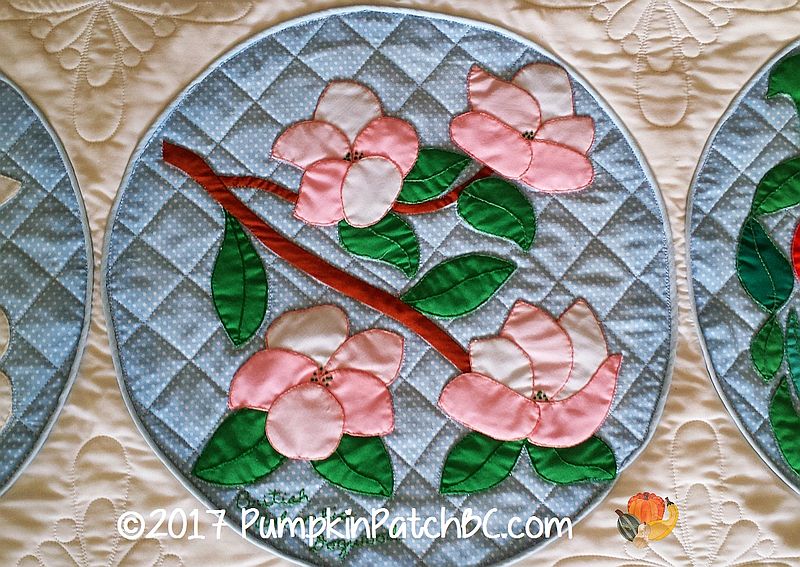 Canadian Flowers - Pumpkin Patch