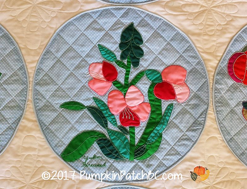 Canadian Flowers - Pumpkin Patch