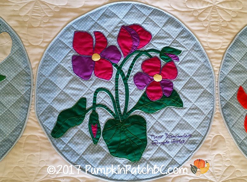 Canadian Flowers - Pumpkin Patch