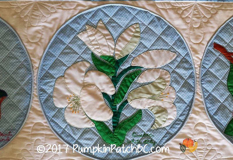 Canadian Flowers - Pumpkin Patch