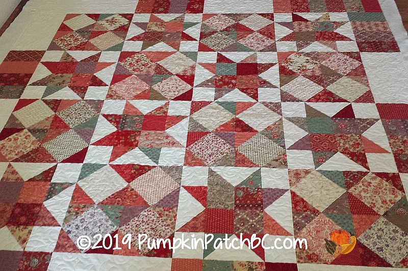 Evening Star - Pumpkin Patch