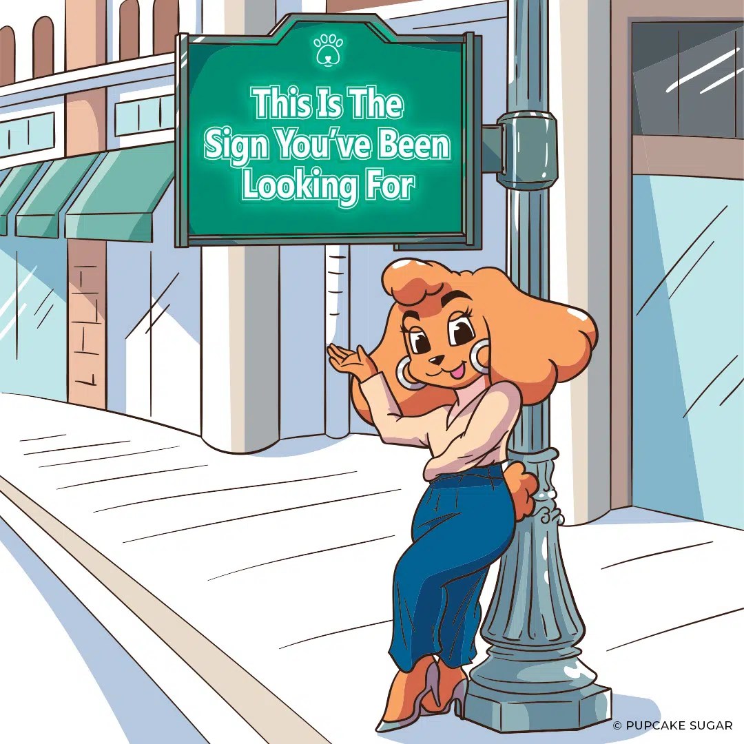 How I Found The Sign I Was Looking For - Pupcake Sugar