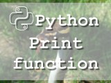 Python Lessons