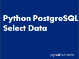 Python Select From Postgresql Table Using Psycopg2