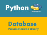 Python Mysql Execute Parameterized Query Using Prepared Statement