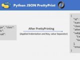 Python Prettyprint Json Data