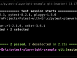 Test Automation Made Easy With Pytest And Playwright Pytest With Eric